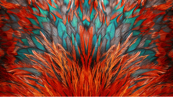 FireBird Energy Completes Chevron Deal | Rigzone