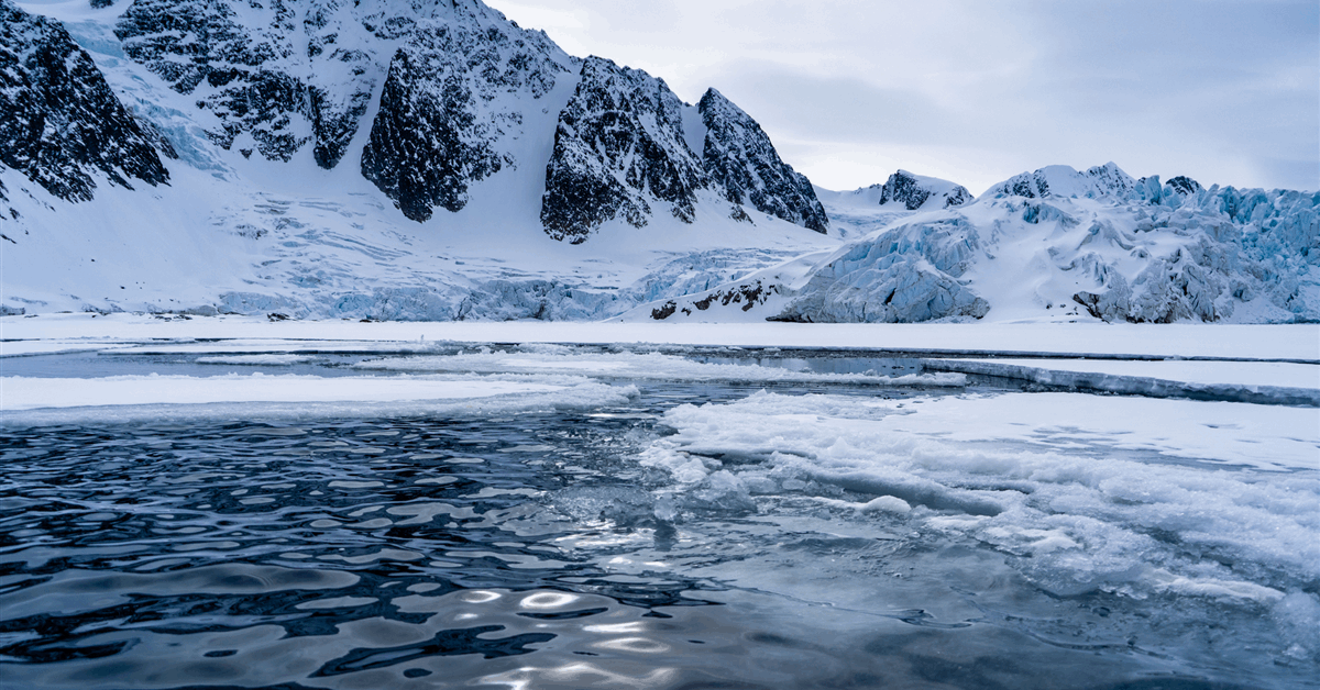 Alaska Oil, Gas Lease Auction Draws Just 2 Bidders | Rigzone