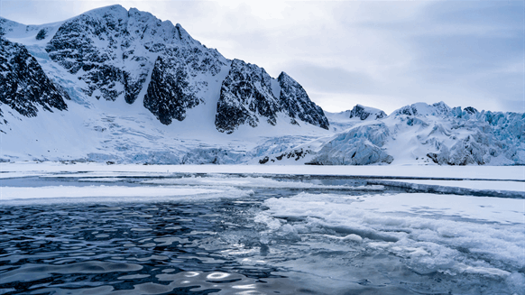 Alaska Oil, Gas Lease Auction Draws Just 2 Bidders | Rigzone