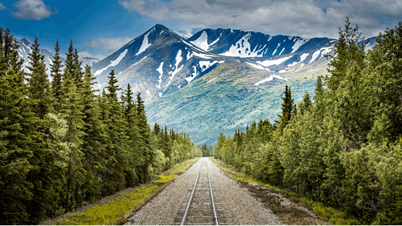 BOEM Alaska OCS Region Gets New Environmental Studies Chief | Rigzone