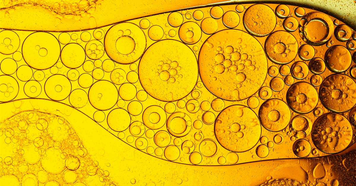 BP Halts Plans to Build Biofuels Plant in the Netherlands | Rigzone