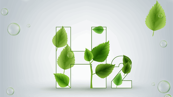 Canadian Green H2 Project Gets Environmental Green Light | Rigzone
