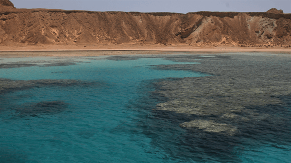 Cheiron Hits Oil in the Gulf of Suez | Rigzone