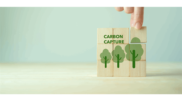 Denmark's Flagship Carbon Storage Project Advances | Rigzone