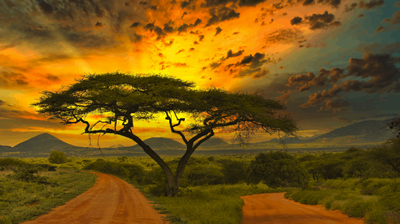 Eni Gets $210MM Funding to Grow Biofuels Production in Kenya | Rigzone