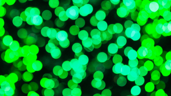 NPD Grants Slew of Drilling Permits | Rigzone