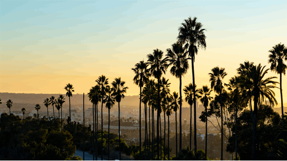 Phillips 66 and Kinder Plan 1st Ever California-Bound Fuel Pipe | Rigzone