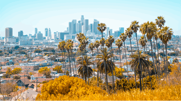Phillips 66 to Cut Nearly 300 Jobs as LA Refinery Shuts | Rigzone