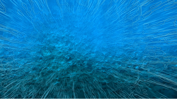 Shearwater to Undertake Ghana's 1st Deepwater Ocean Bottom Survey | Rigzone