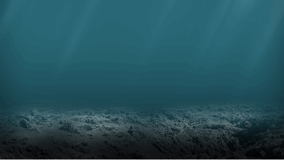 TotalEnergies Taps Shearwater for OBN Project in Angola | Rigzone