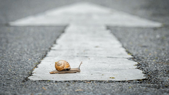 Bokep sexy girl the setup was truly straightforward as I’ve