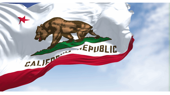 Kinder Morgan Pipelines Return to Service | Rigzone