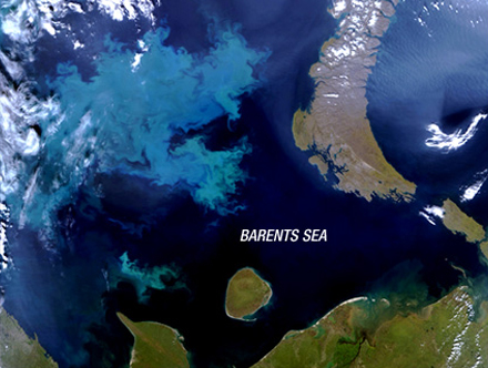 10 Significant Discoveries of 2011 | Rigzone