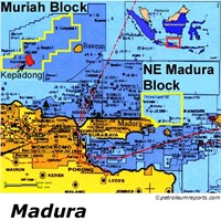 Petronas Gets Two New Blocks in Indonesia | Rigzone